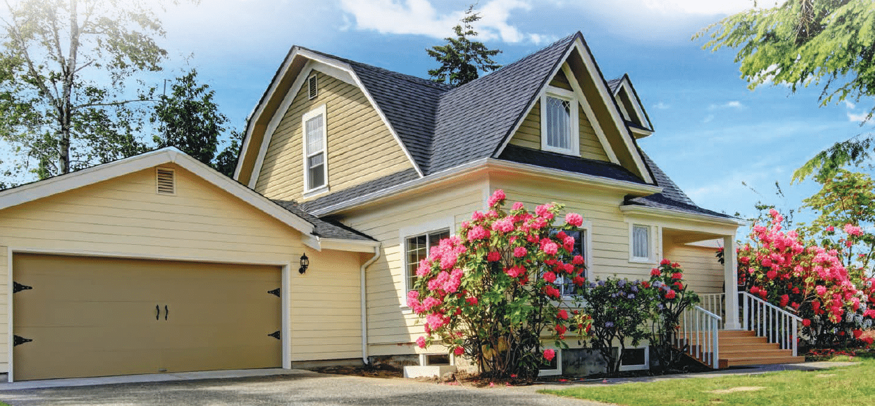 Power & Soft Washing Services in Patterson, NY | George Apap Painting